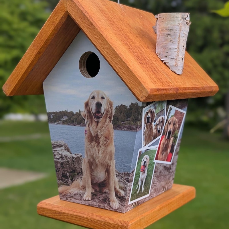 Custom Birdhouse - Etsy