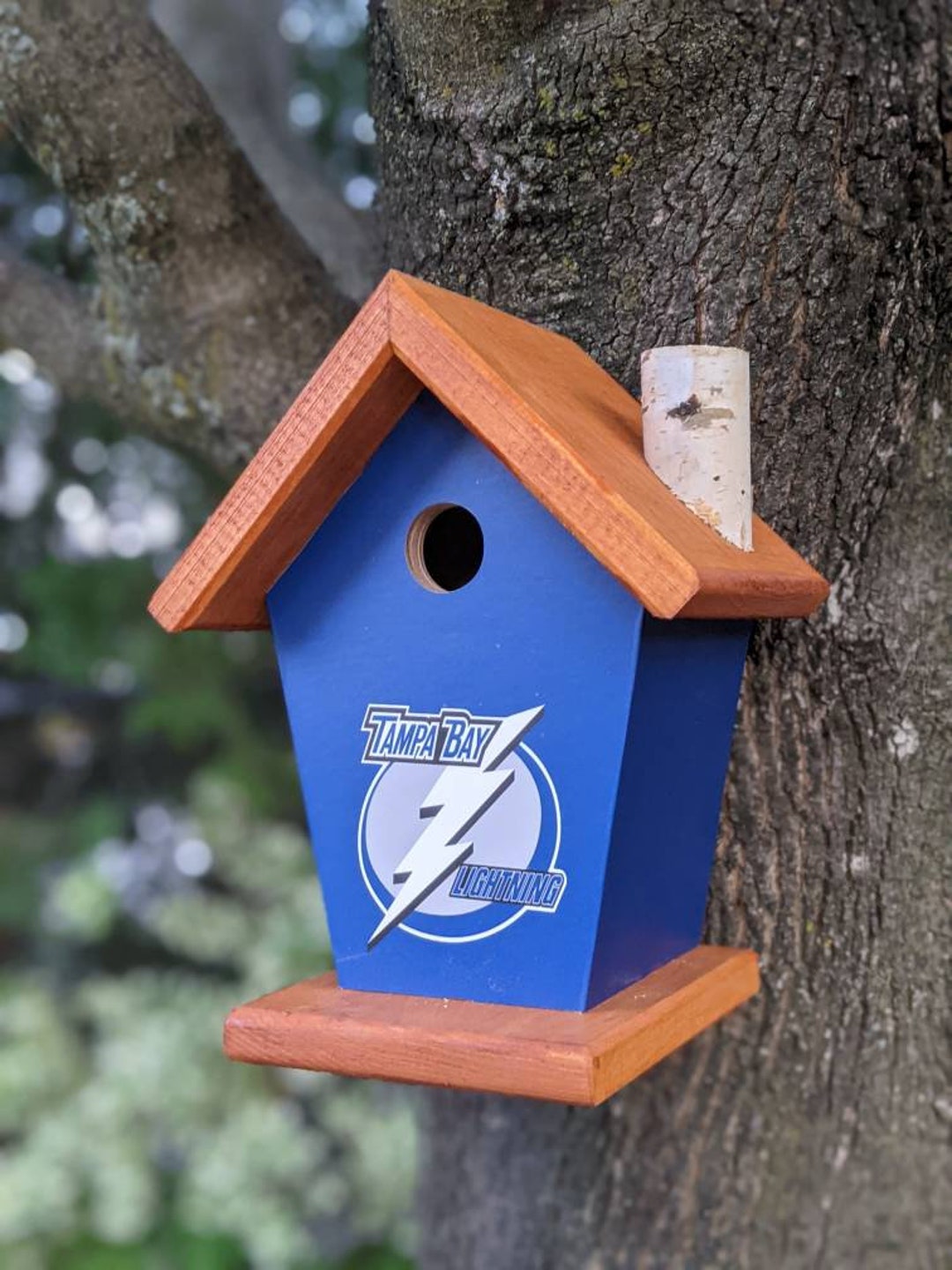 Tampa Bay Lightning Birdhouse - Etsy