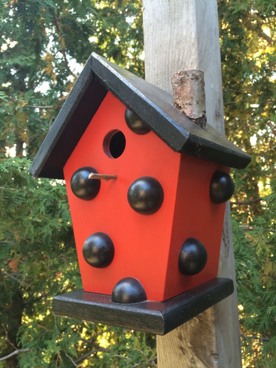 Ladybug Birdhouse | Etsy