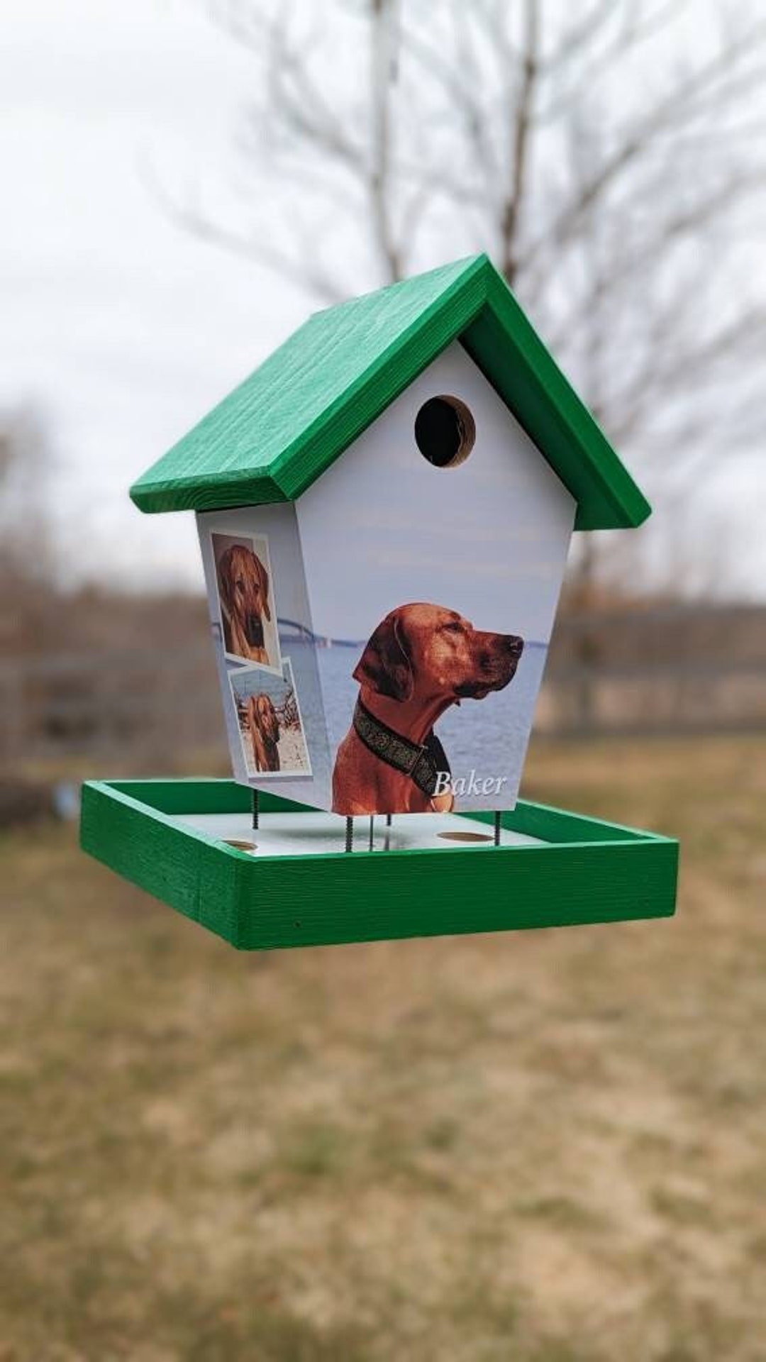 Personalized Pet Bird Feeder - Etsy