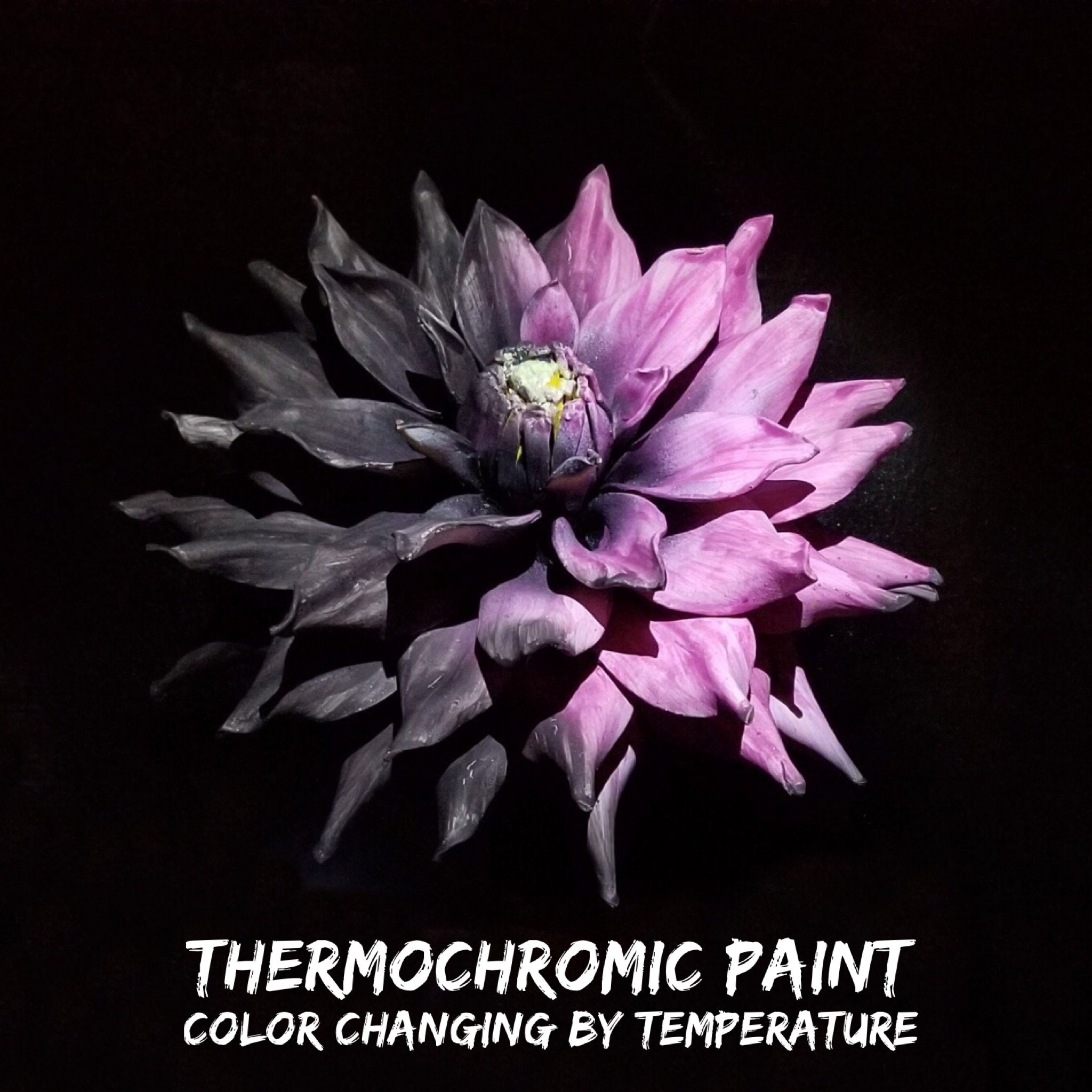 Color Changing Thermochromic Paint Temperature Reactive for Original ...