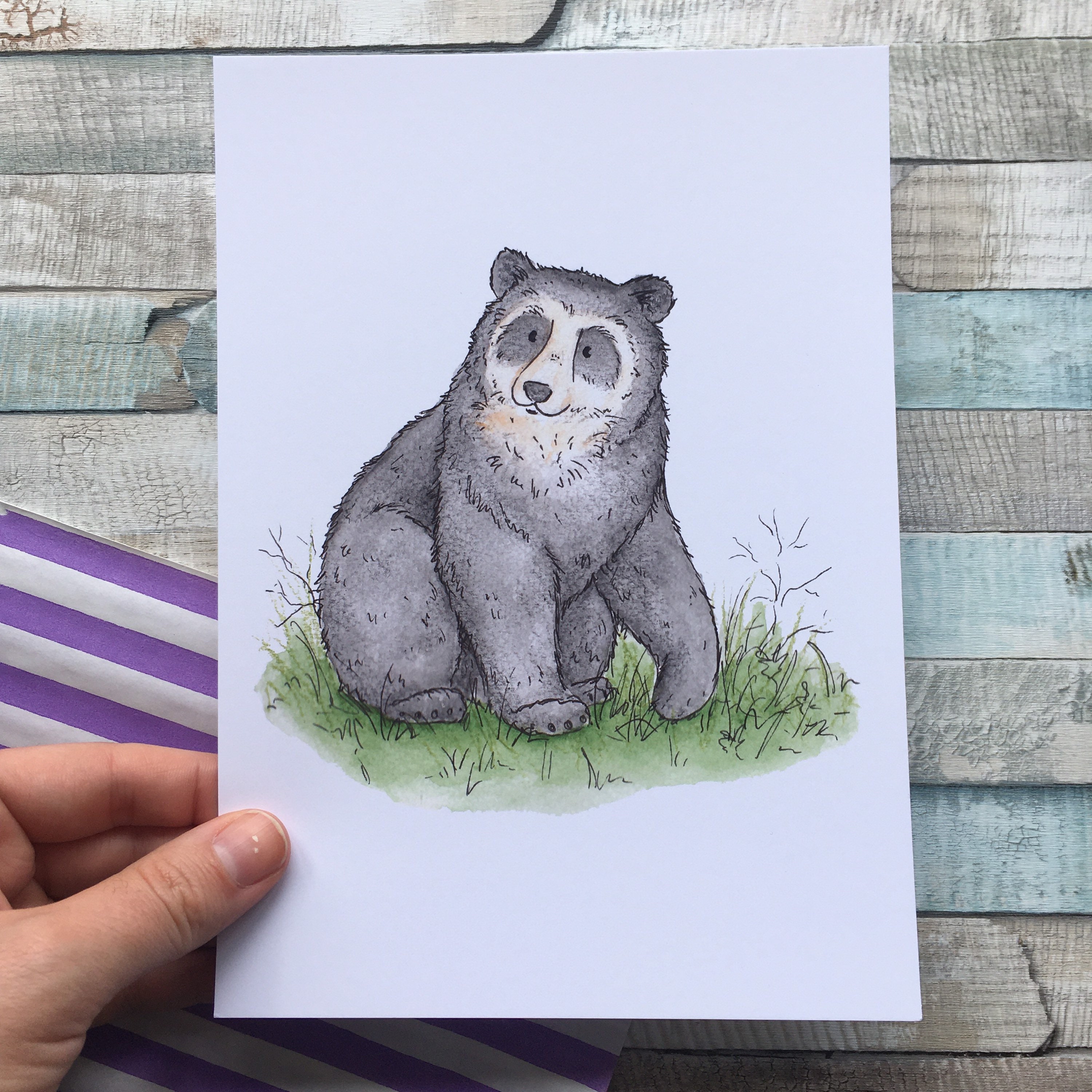 Spectacled Bear Drawing