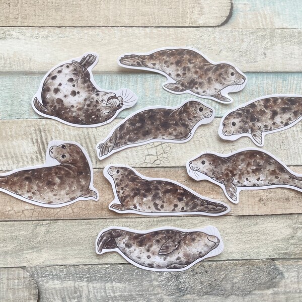 Seal Stickers - Etsy