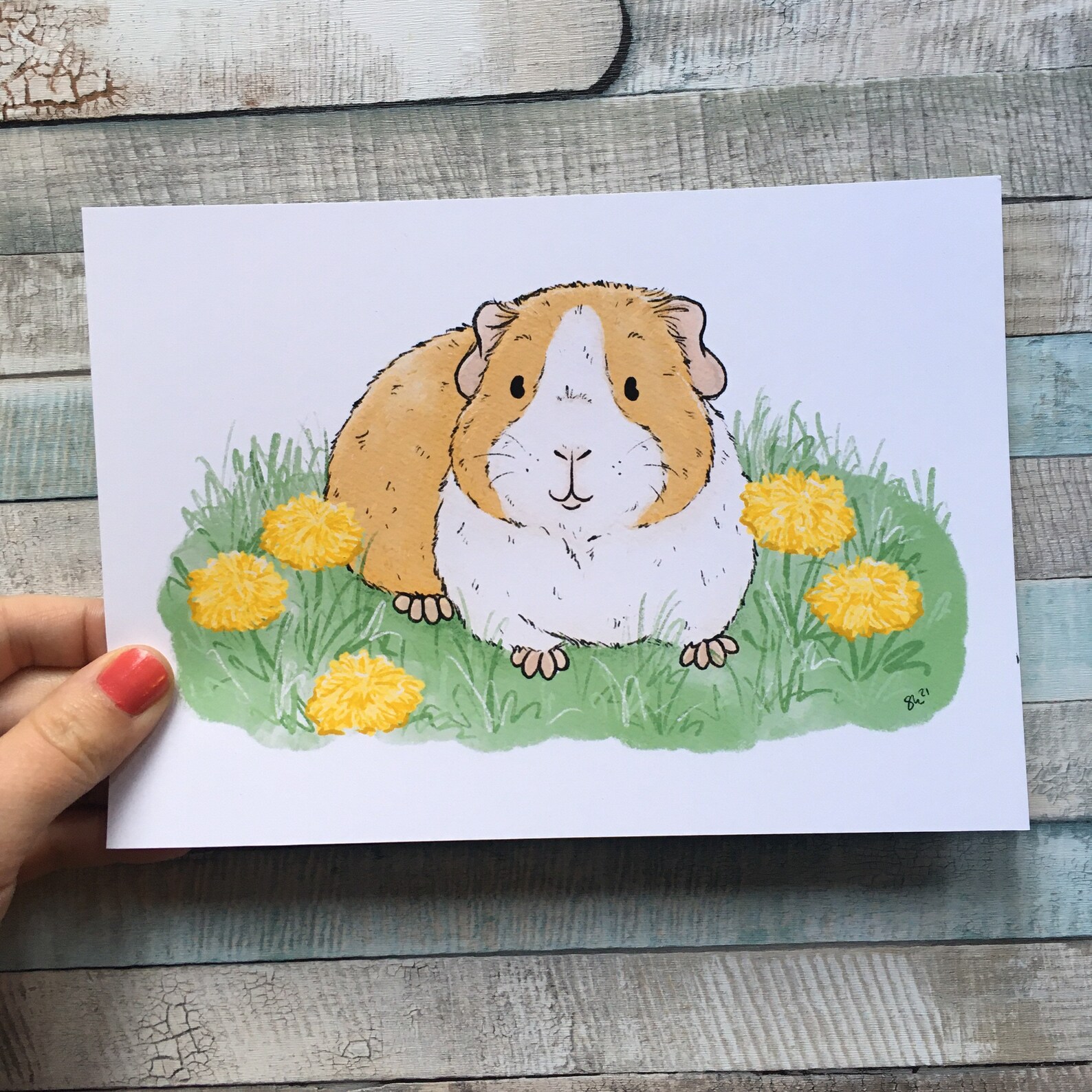 Dandelion Guinea Pig Art Print A5 Sized Art Print Guinea Pig - Etsy