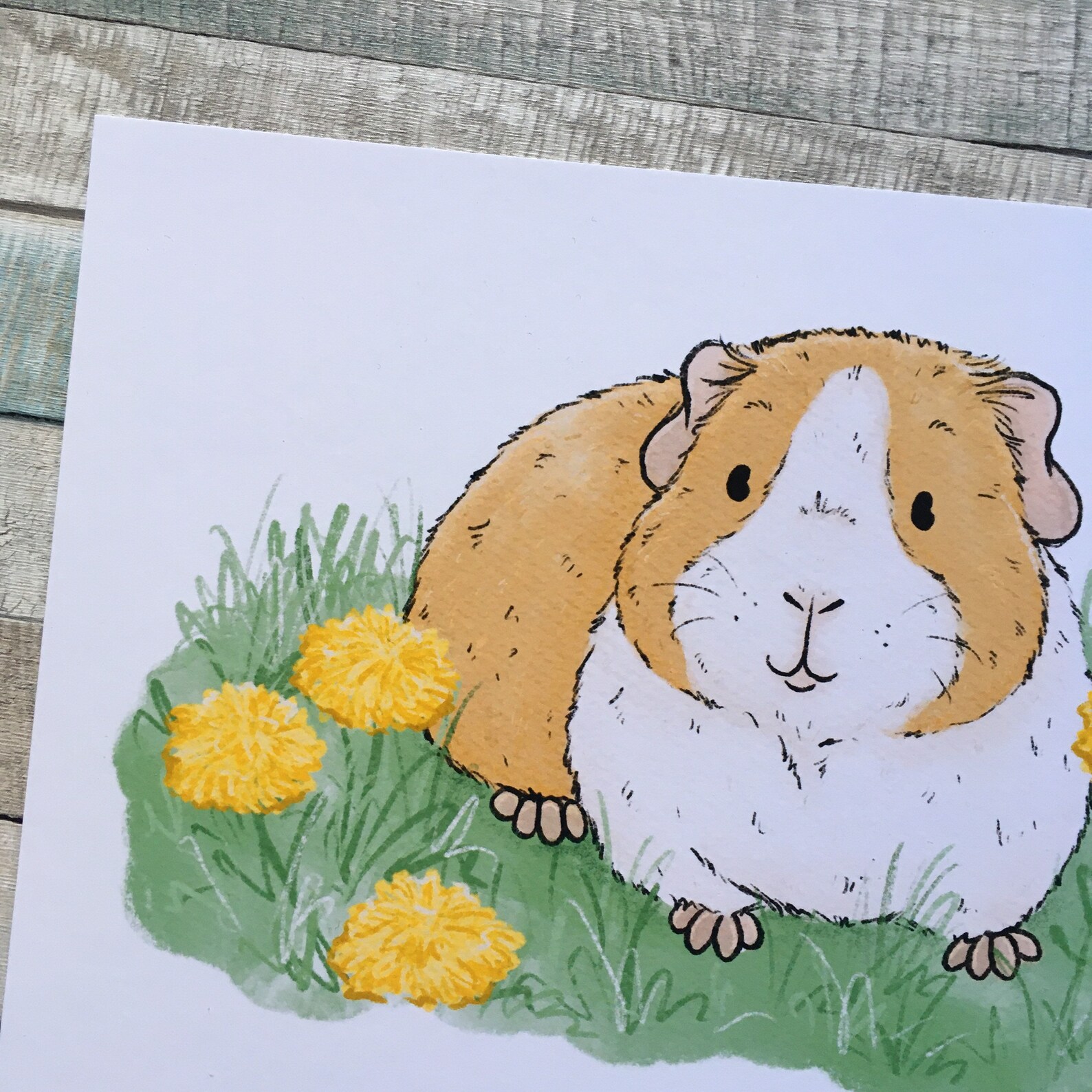 Dandelion Guinea Pig Art Print A5 Sized Art Print Guinea Pig - Etsy