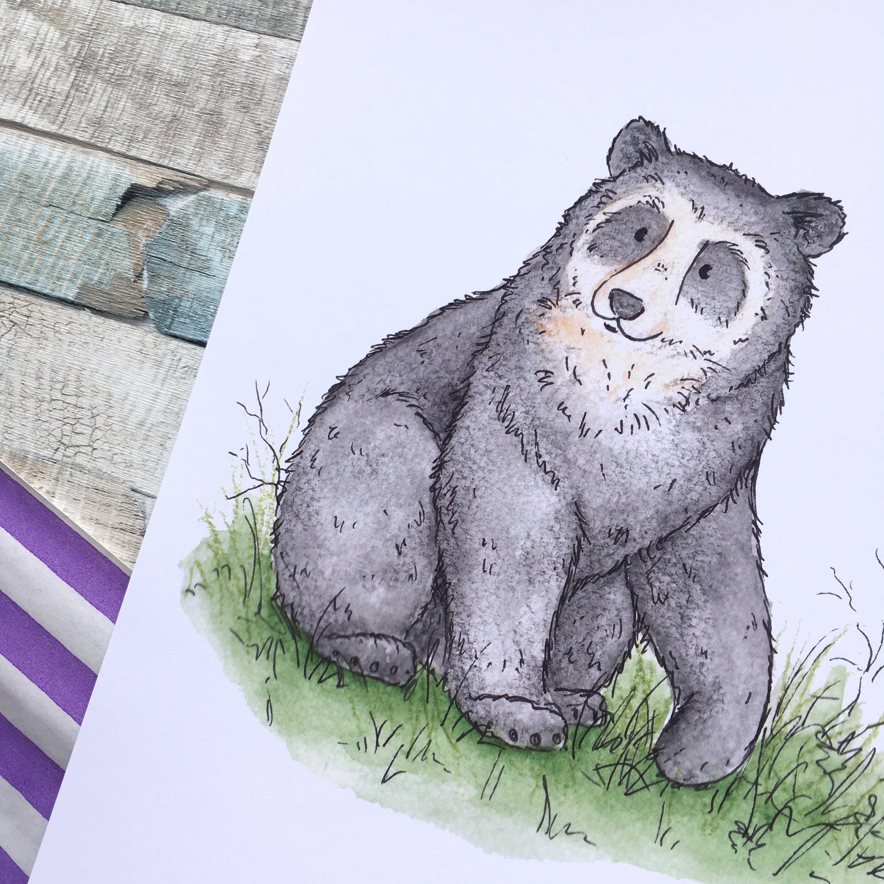 Spectacled Bear Drawing