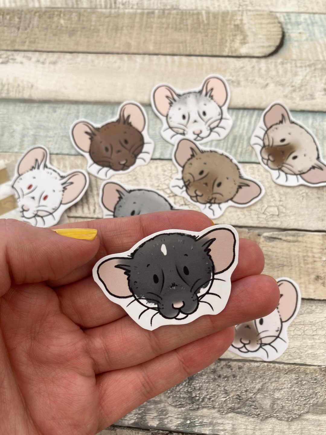 Ratty Faces Sticker Pack Pack of 10 Cute Rat Stickers - Etsy