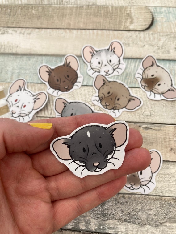 Ratty Faces Sticker Pack Pack of 10 Cute Rat Stickers | Etsy