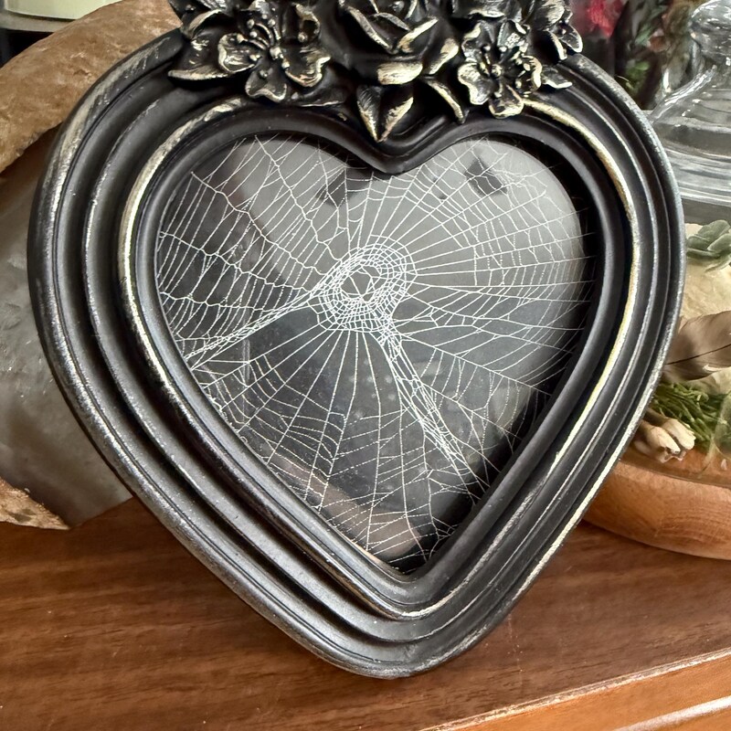 Framed Spider Web - Etsy