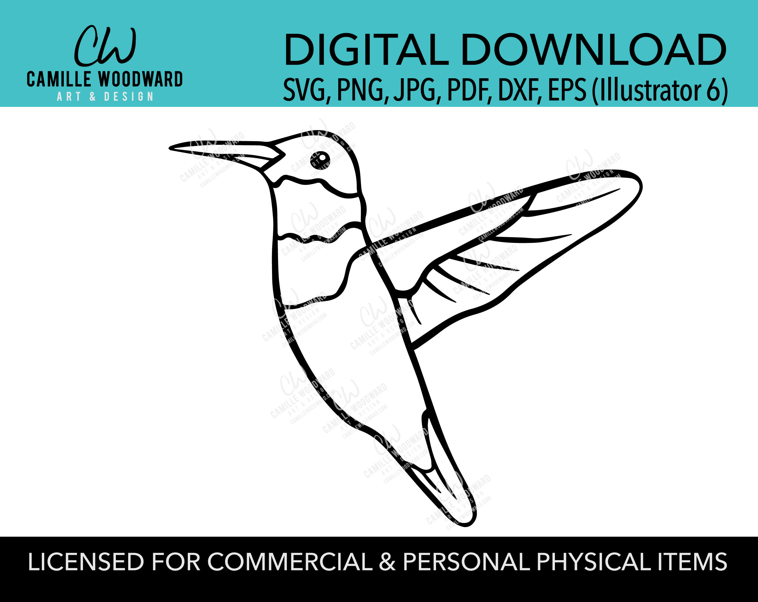 Hummingbird Drawing Outline