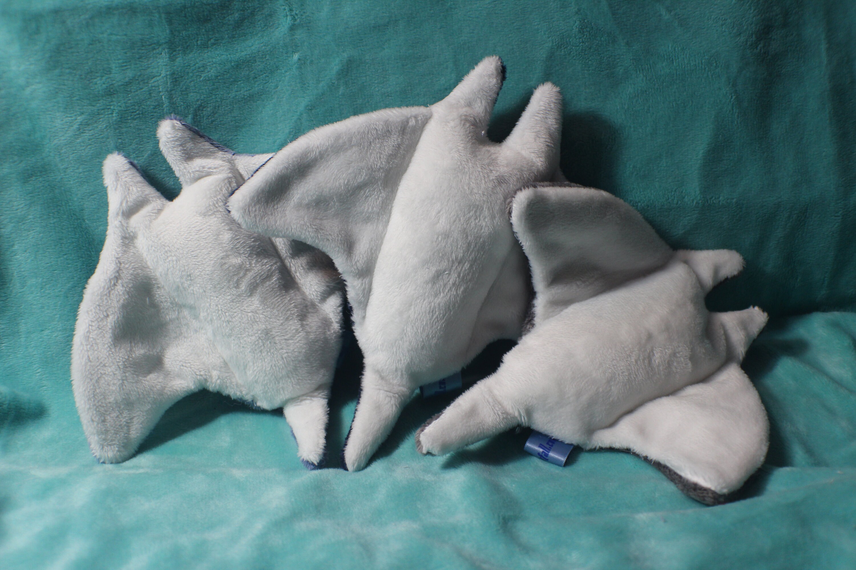 8 Manta Ray Sea Flap Chibi Handmade Plush Plushie MADE | Etsy
