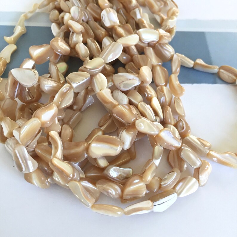 Mother of Pearl Beads Trochus Shell Beads 12mm 1 Strand | Etsy