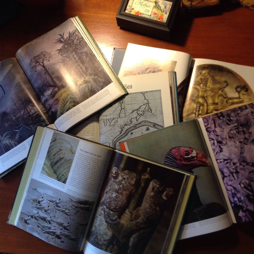 Life Nature Library: Set of 5...desert, Tropical Asia, Eurasia, Forest ...