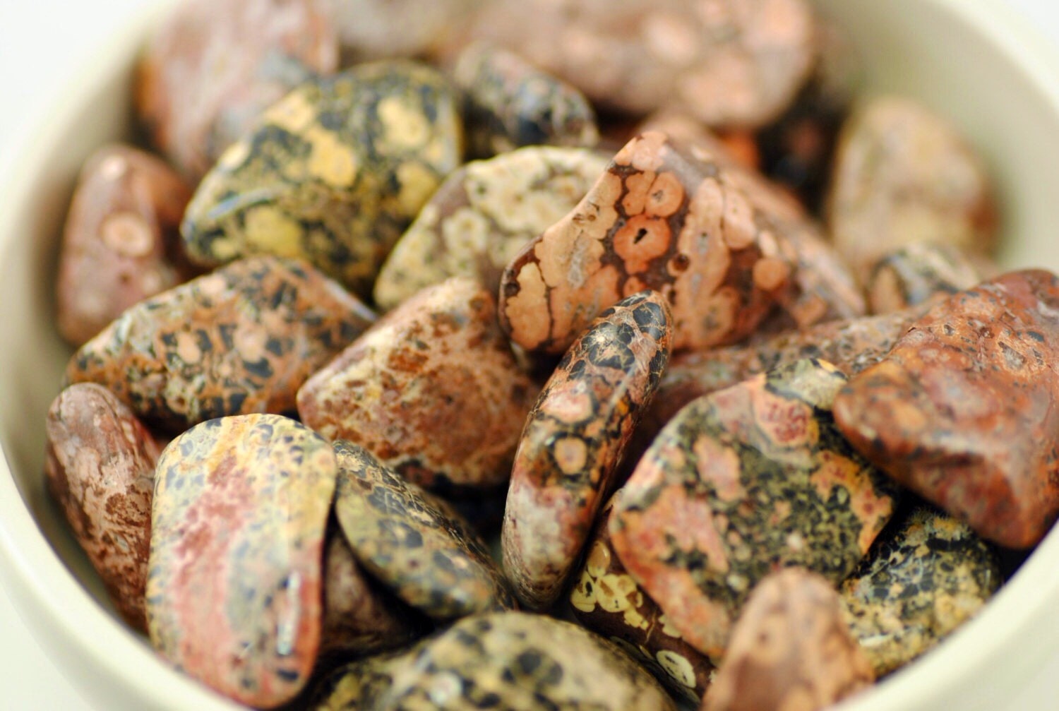 Leopard skin jasper healing - tolery