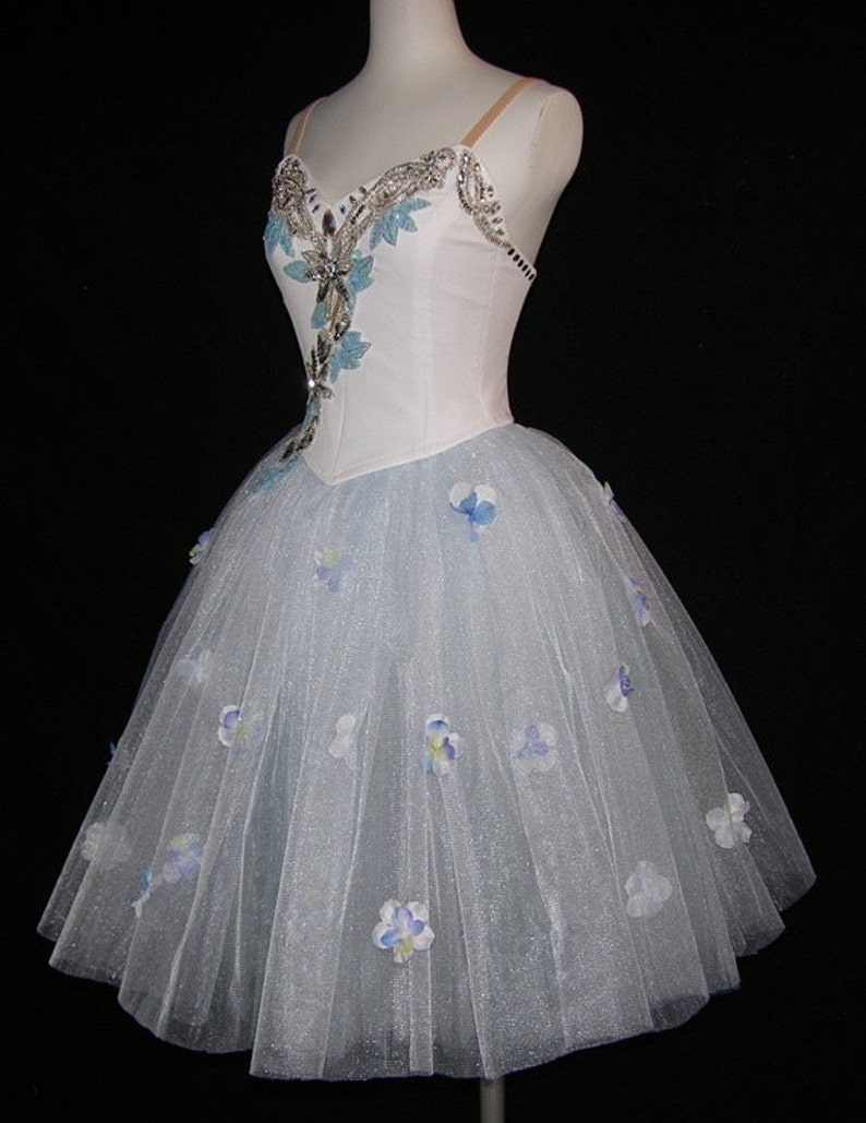 Ballet Tutu Beautiful Romantic Ballet Tutu - Etsy