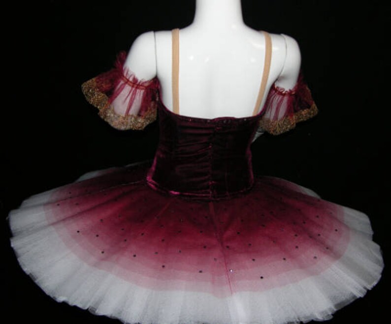 Ballet Tutu Beautiful Stage Ballet Tutu. | Etsy