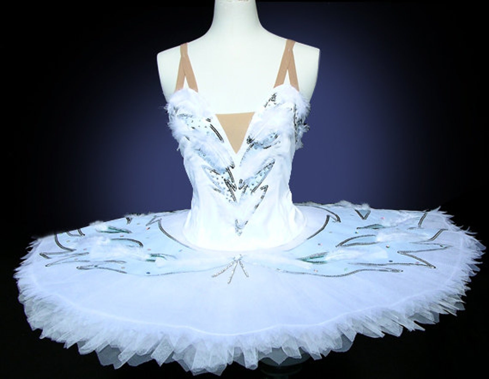 Ballet Tutu Beautiful Classic White Swan Lake Stage Ballet Etsy