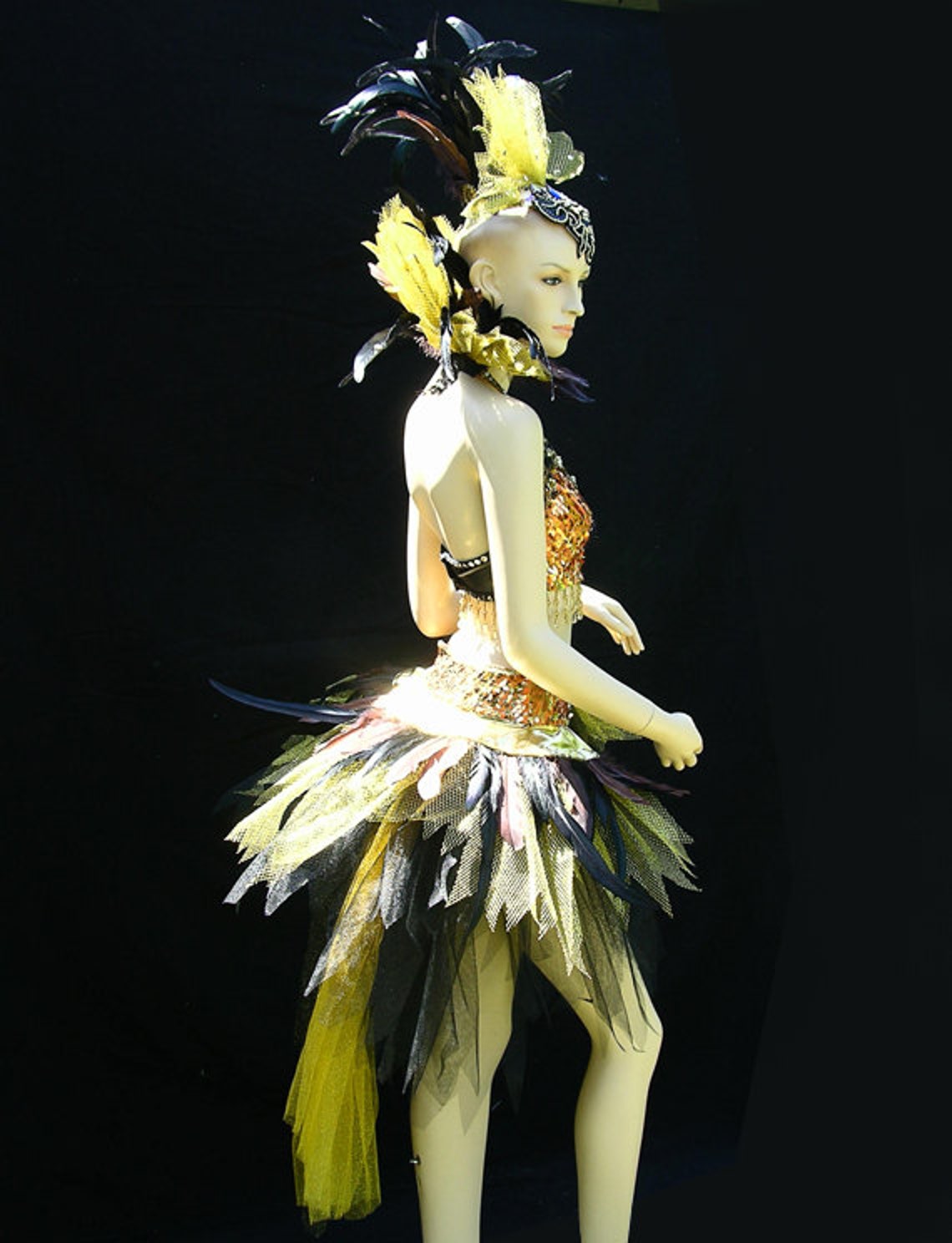 Ballet & Broadway Costume - Modern Style Ballet Tutu / Broadway Costume ...