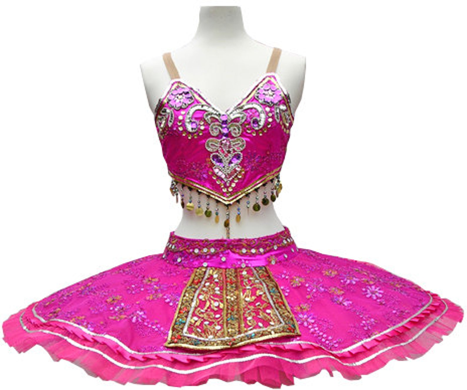 Ballet Tutu Beautiful Classic Oriental Stage Ballet Tutu - Etsy