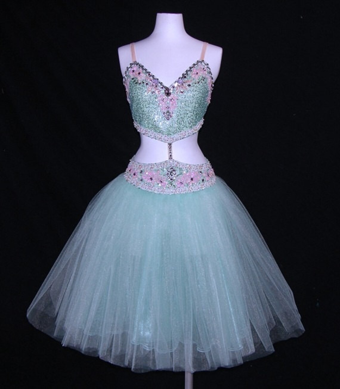 Ballet Tutu Beautiful Performance Ballet Tutu | Etsy