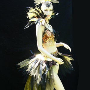 Ballet & Broadway Costume Modern Style Ballet Tutu / Broadway Costume ...