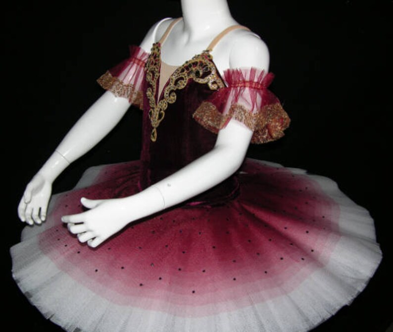 Ballet Tutu Beautiful Stage Ballet Tutu. | Etsy