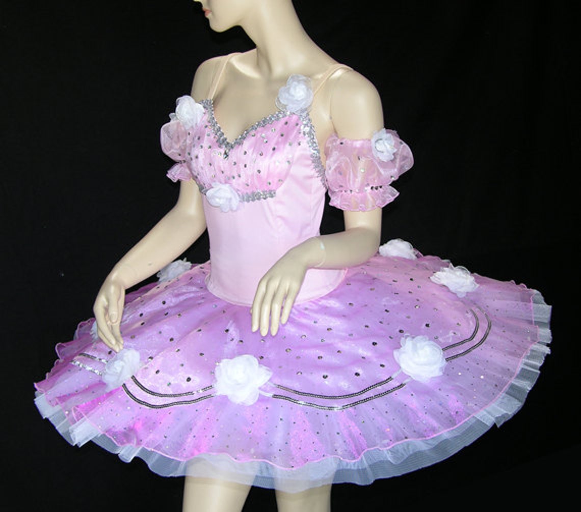 Ballet Tutu Beautiful light pink performance Ballet Tutu | Etsy