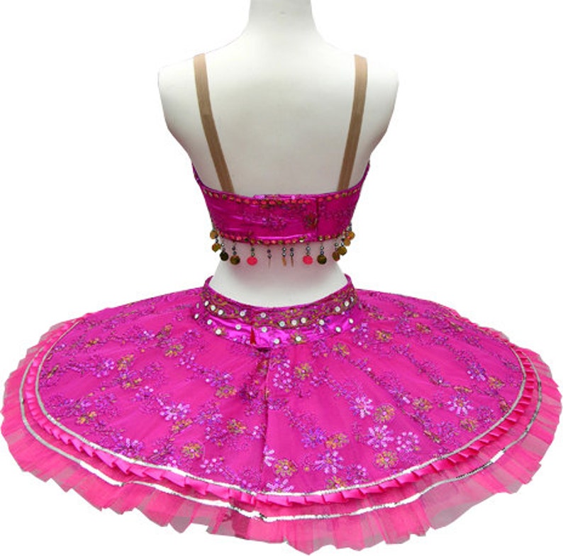 Ballet Tutu Beautiful Classic Oriental Stage Ballet Tutu - Etsy