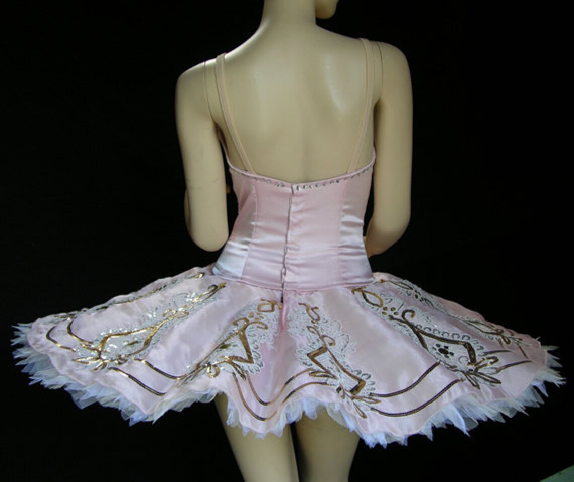 Ballet Tutu Professional Stage Ballet Tutu | Etsy