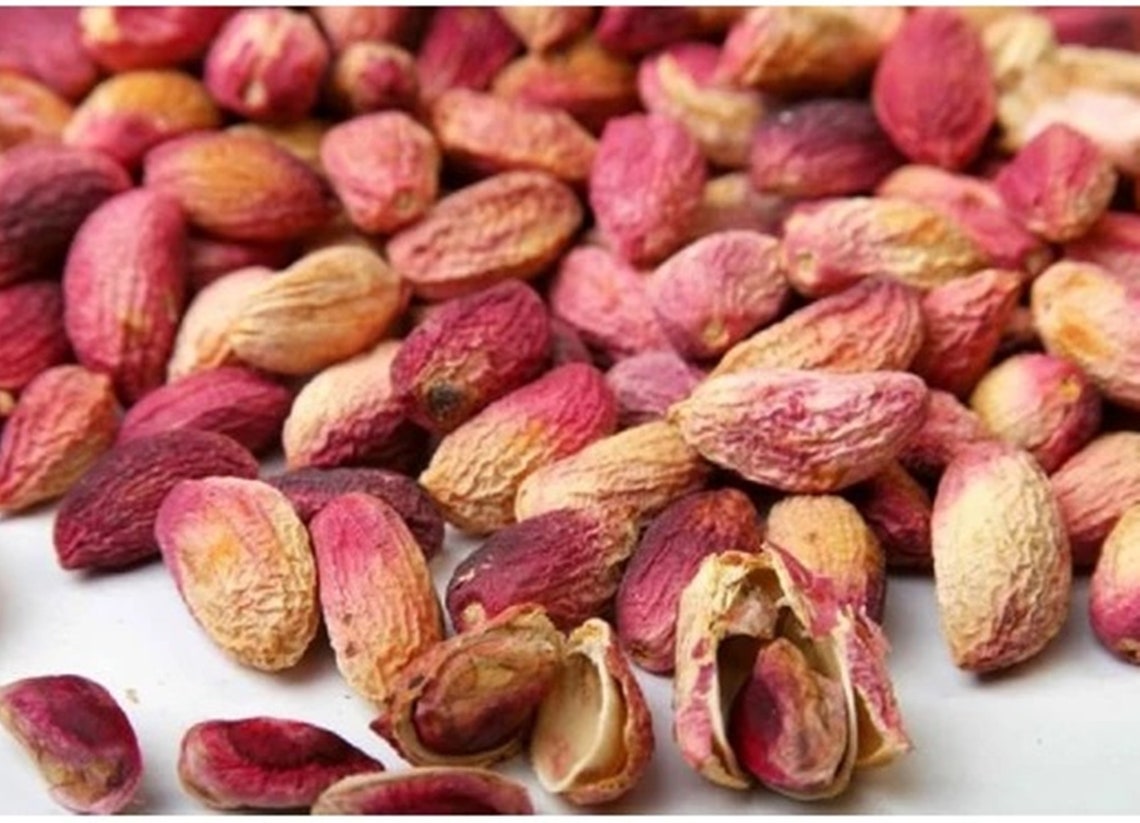 Pistachio Tree pistacia Vera 20 Seeds Terebinth Tree | Etsy