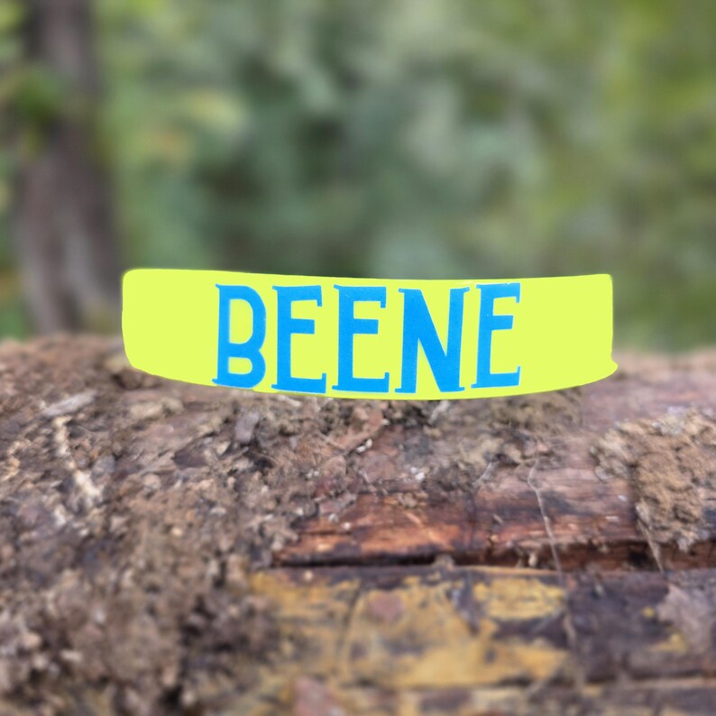 1/2" Wide 2 Color Half Check Small Biothane Waterproof Martingale Dog ...