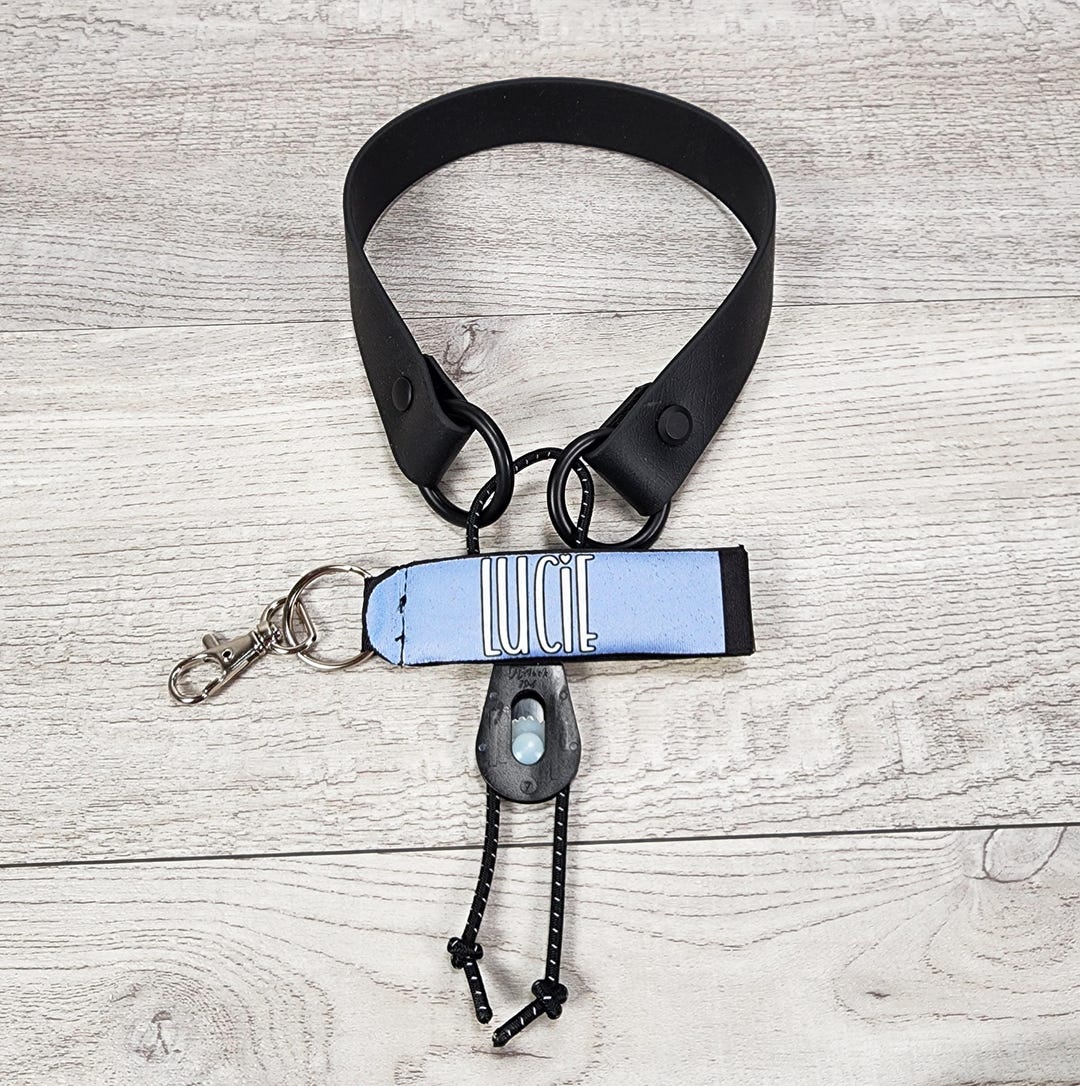 Adjustable Biothane With Reflective Bungee E-collar Replacement Collar With Personalized ...