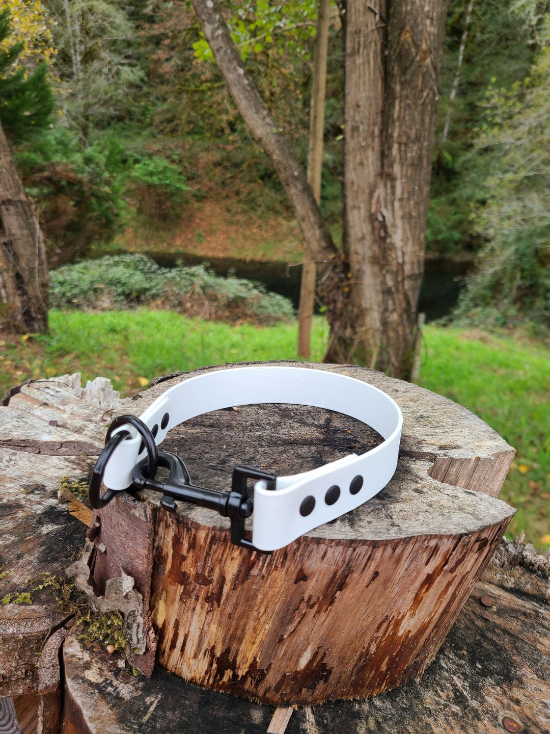 1" Wide Modified Slip Biothane Waterproof Quick Release Dog Collar, Add ...