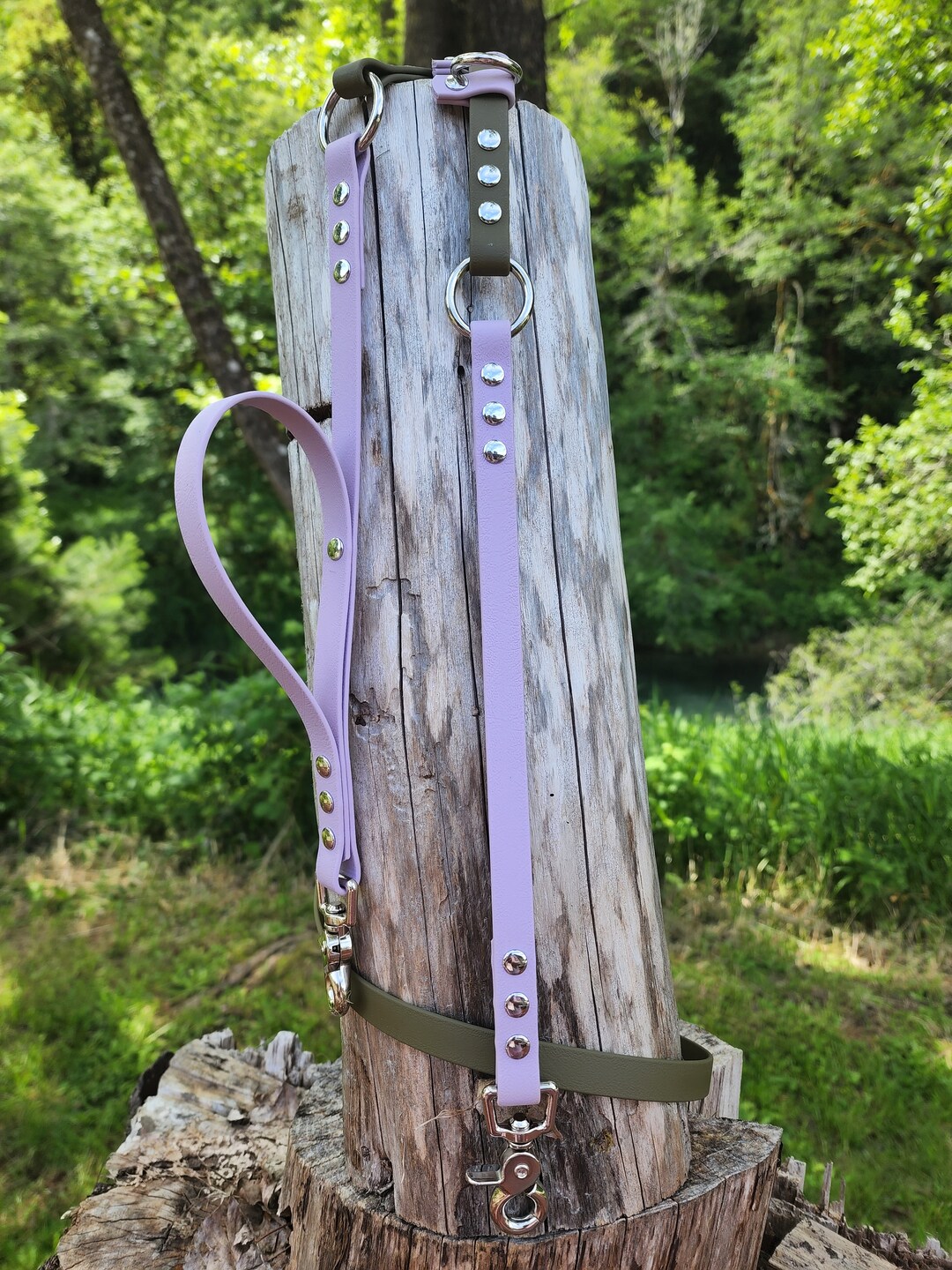 5/8 Deluxe Adjustable Traffic Handle Dog Leash, Biothane Outdoor ...