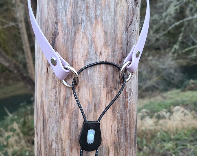 Biothane E-collar Strap - Etsy