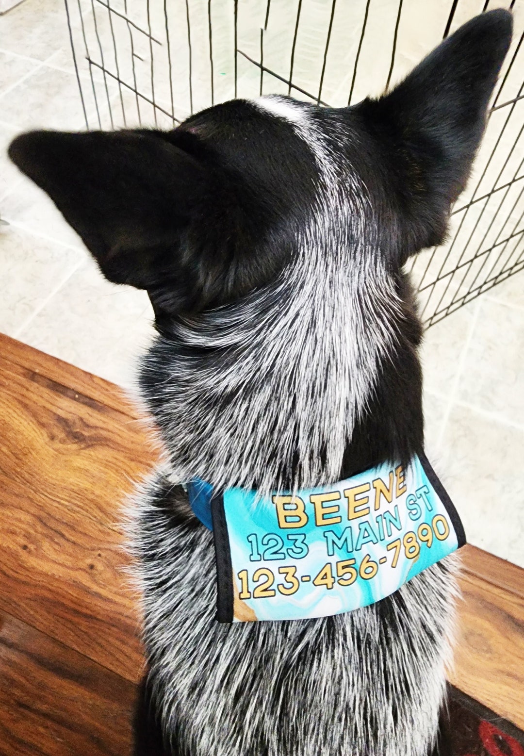 Collar Wrap, Slide on ID, Wrap Around Dog ID, Silent Dog Tag, Leash ...