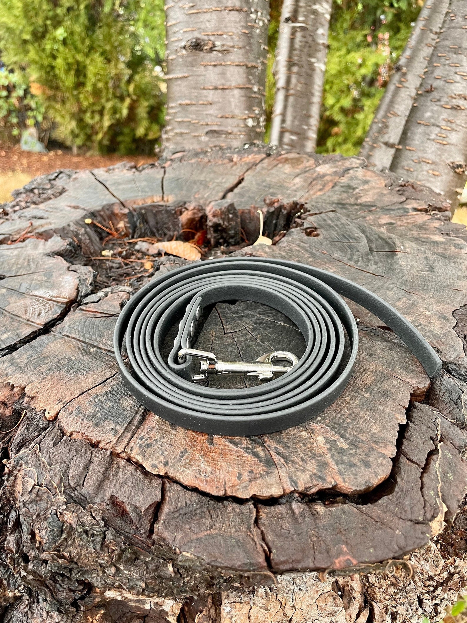 1/2 Drag Line 1 to 50 Feet Biothane Outdoor Waterproof - Etsy