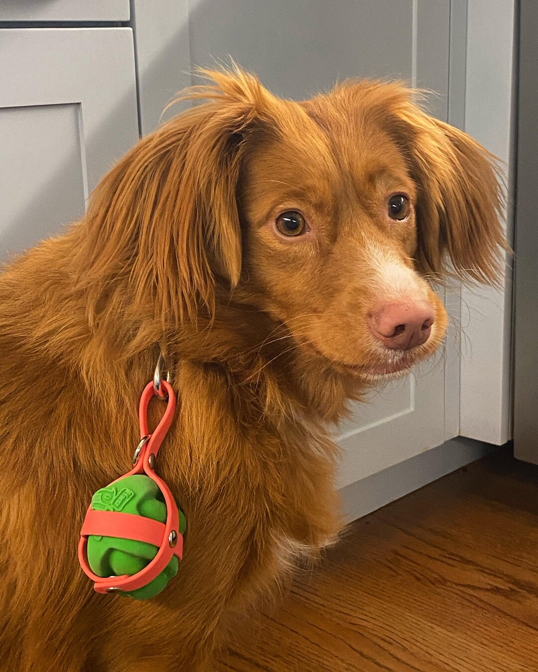 Biothane Tennis Ball Keychain, Perfect Dog Lover's Gift, Gifts for Him ...