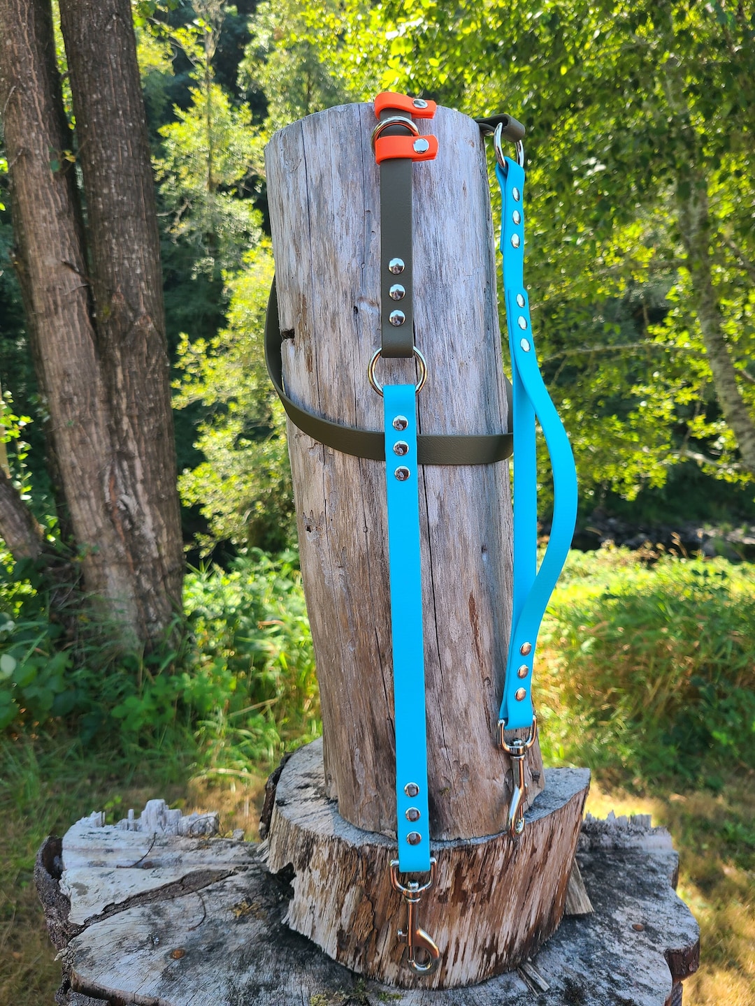 Deluxe Adjustable Flat Traffic Handle Dog Leash, 3/4 Biothane ...