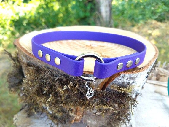 LEATHER COLLAR THIN CAT DOG ; WIDE COLLAR CUSTOM SIZE ; ; 5 COLORS US ...