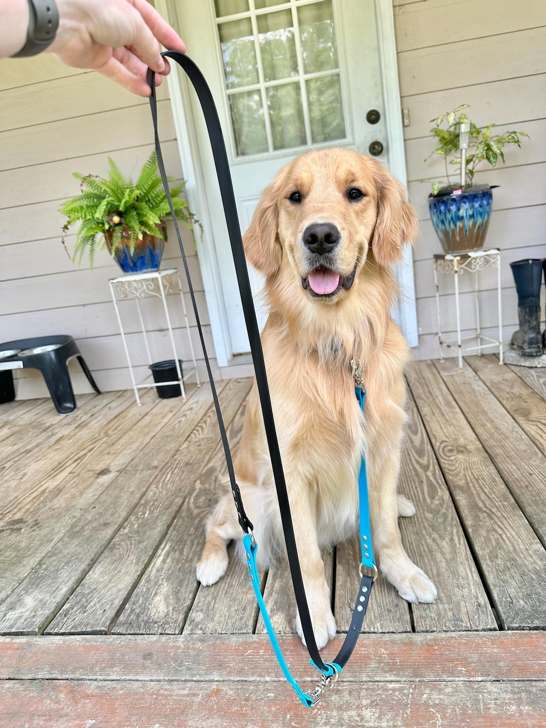 Deluxe Adjustable Dog Leash, 3/4" Wide Biothane Waterproof Hands Free ...