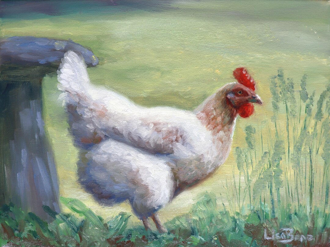 White Chicken Art Print: Giclee Fine Art by Lisa Bane - Etsy