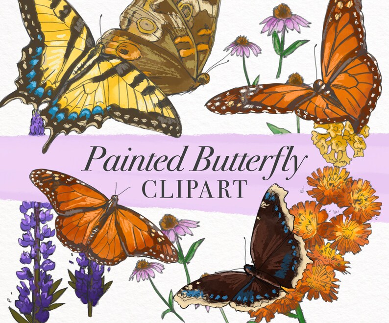 Painted Butterfly Clipart Pack, Digital Download - Etsy
