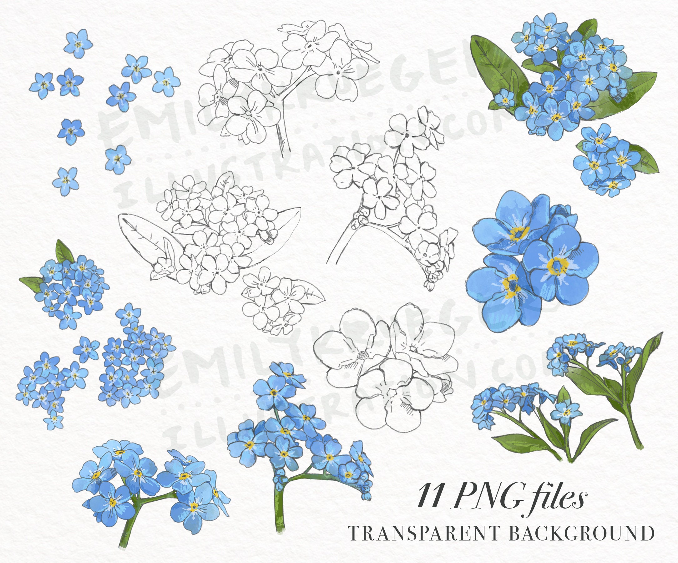 Painted Forget-me-not Clipart Pack, Digital Download - Etsy
