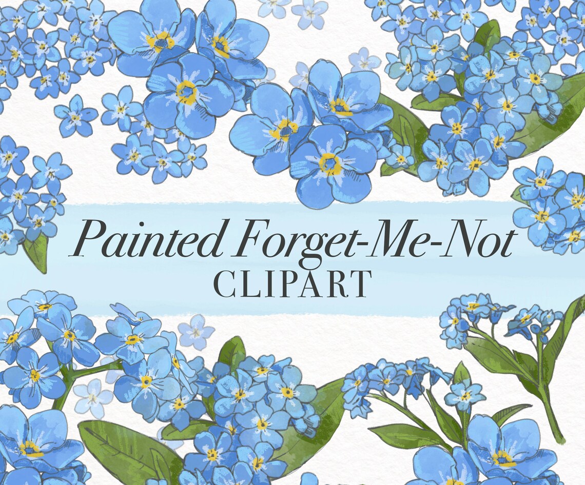 Painted Forget-me-not Clipart Pack, Digital Download - Etsy