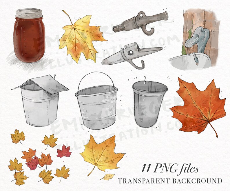Painted Maple Syrup Clipart Pack, Digital Download - Etsy