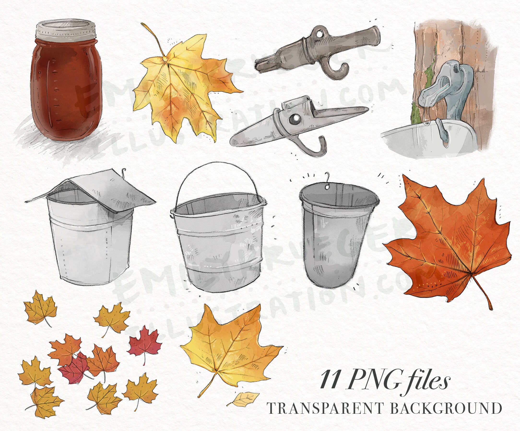 Painted Maple Syrup Clipart Pack, Digital Download - Etsy