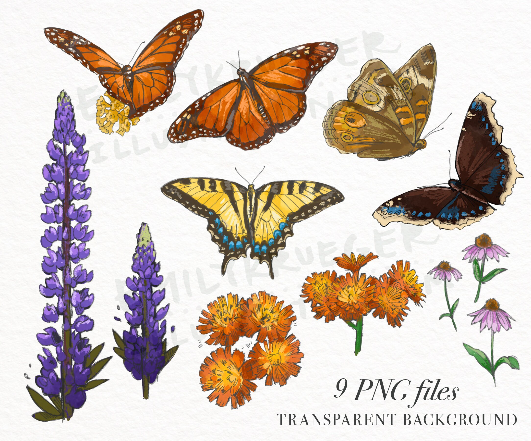 Painted Butterfly Clipart Pack, Digital Download - Etsy