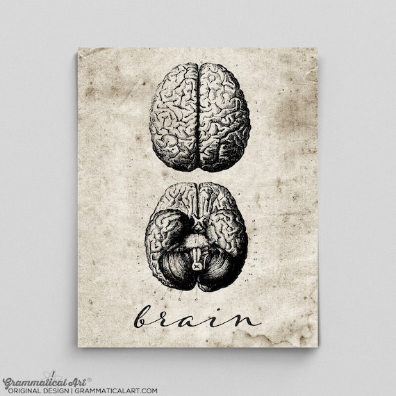 Brain Print Vintage Brain Poster Human Anatomy Poster Anatomy | Etsy