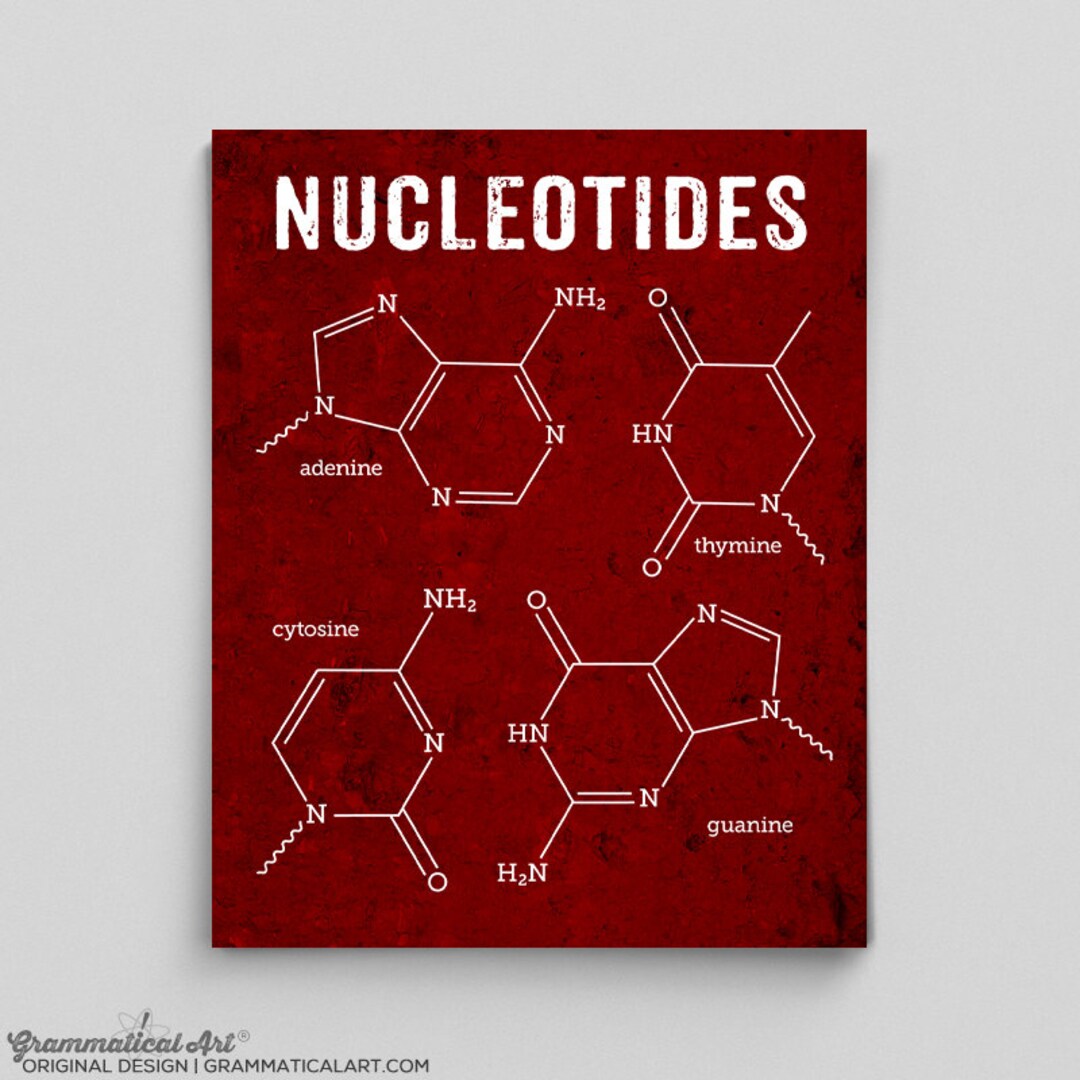 DNA Art DNA Poster Nucleotides Science Art Biology Biochemistry Office ...